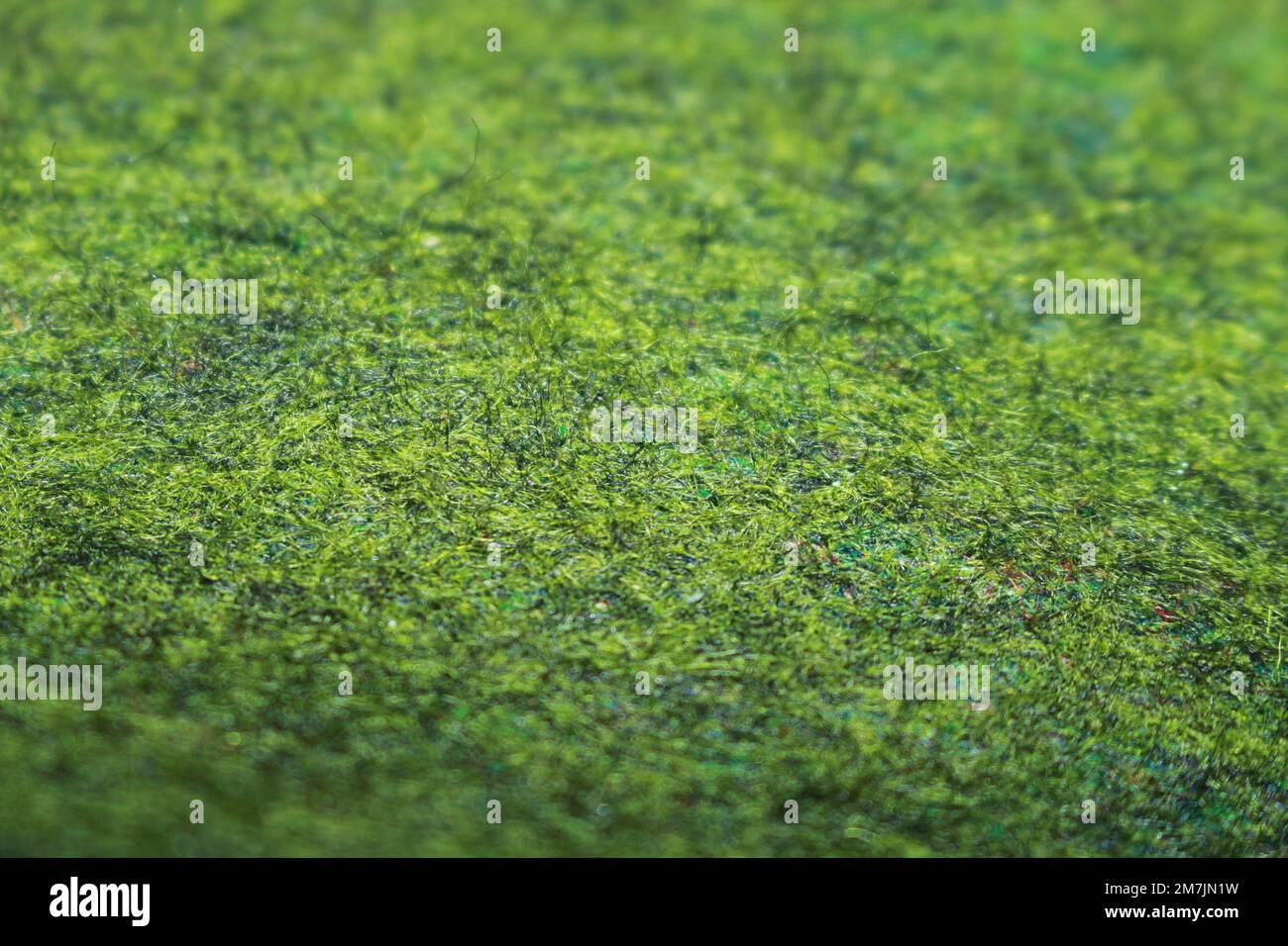 Fresh green meadow background blur. football field grass, golf course ...
