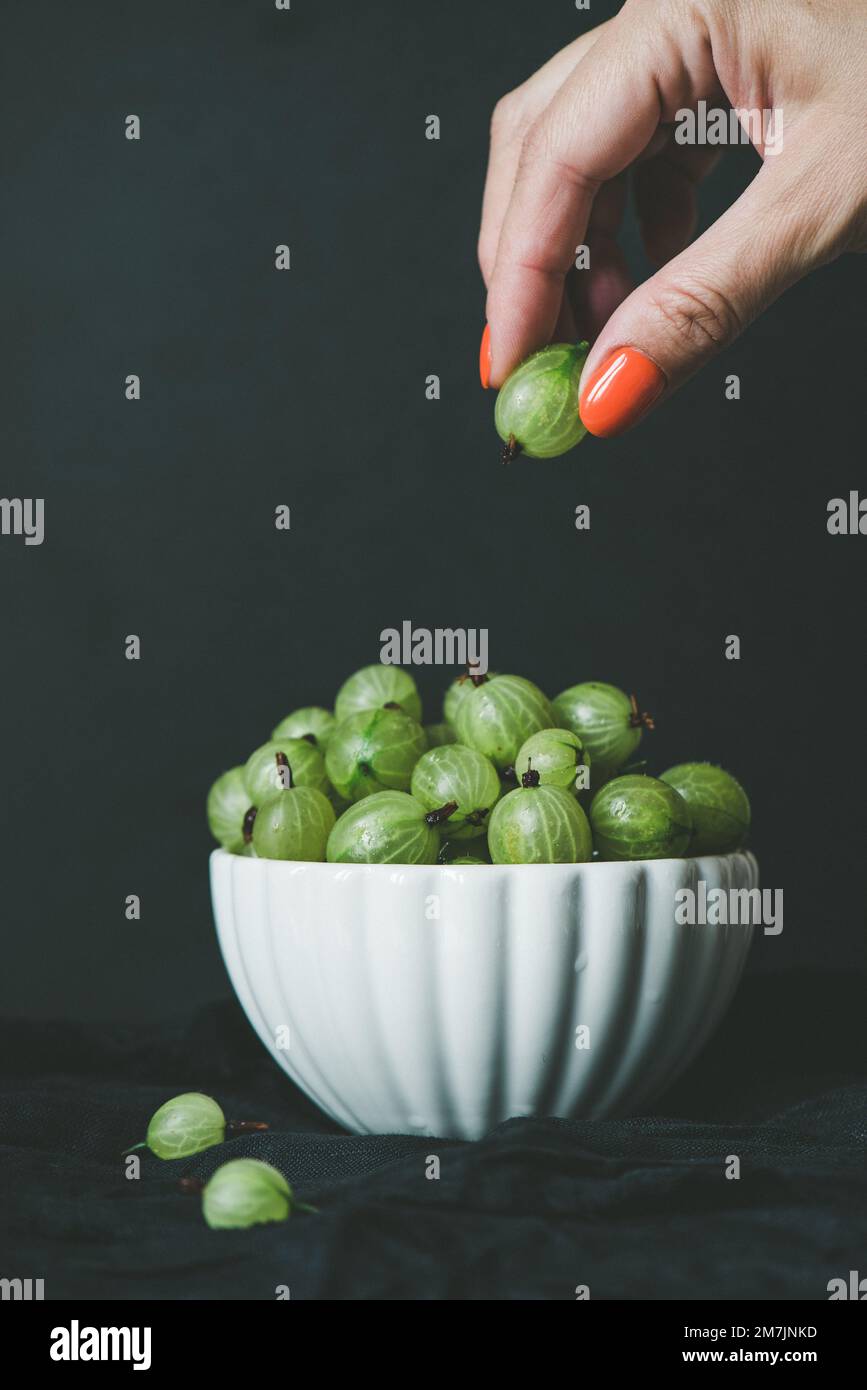 Gooseberry Harvest, a crop of ripe gooseberries. Fresh gooseberries ...