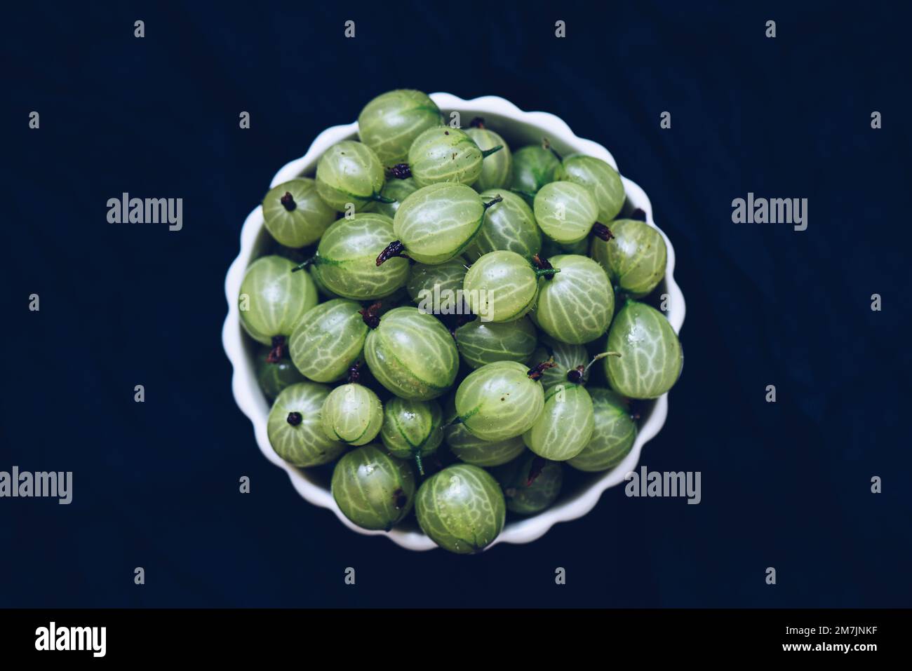 Gooseberry Harvest, a crop of ripe gooseberries. Fresh gooseberries ...
