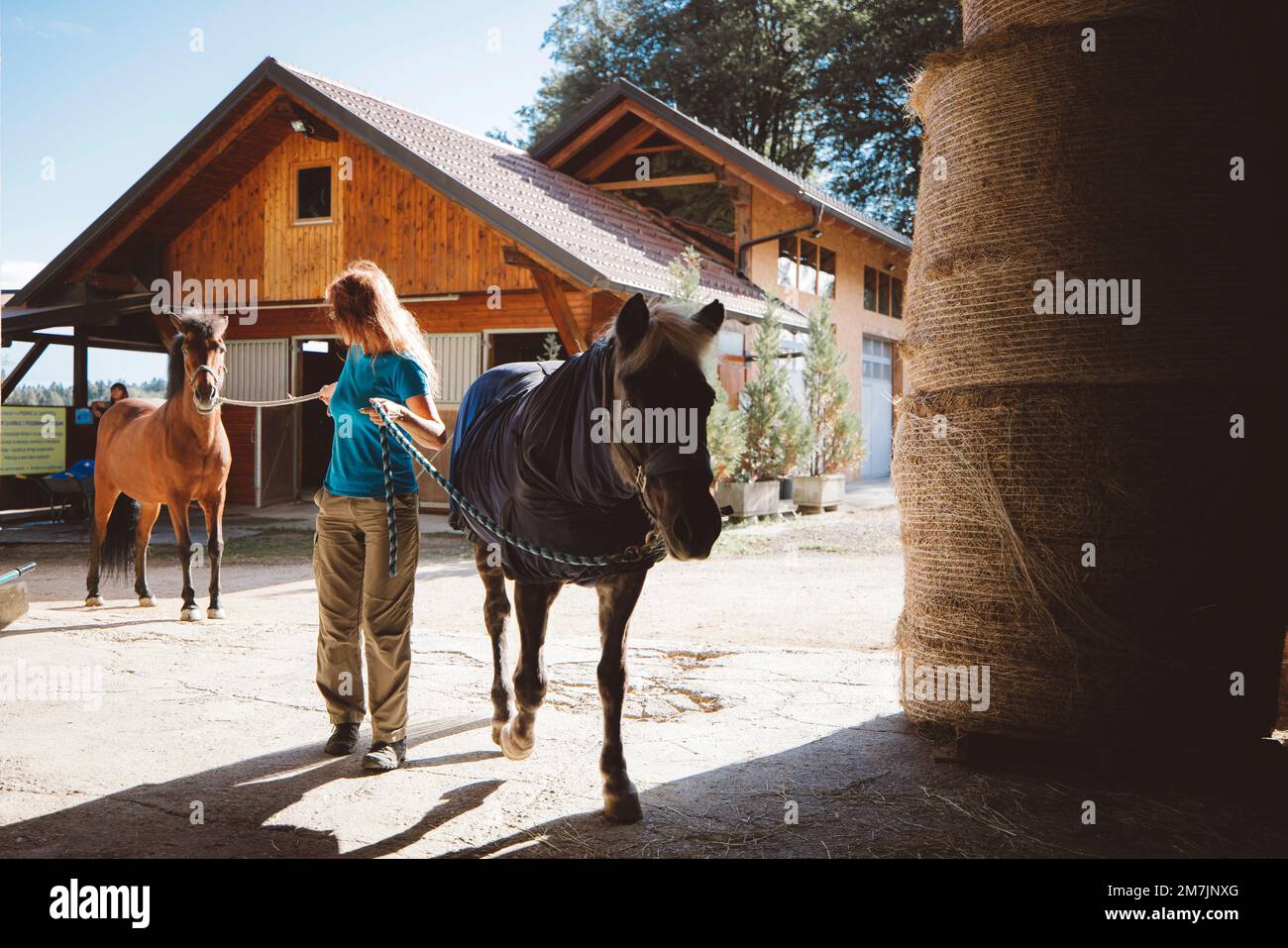 Trainer stables stable hi-res stock photography and images - Alamy