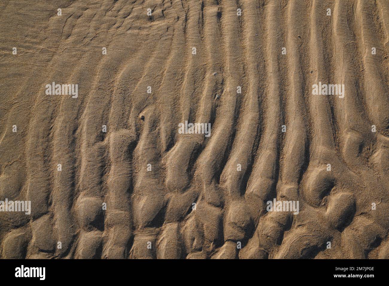 sandy texture background with natural sand water wave pattern wallpaper ...