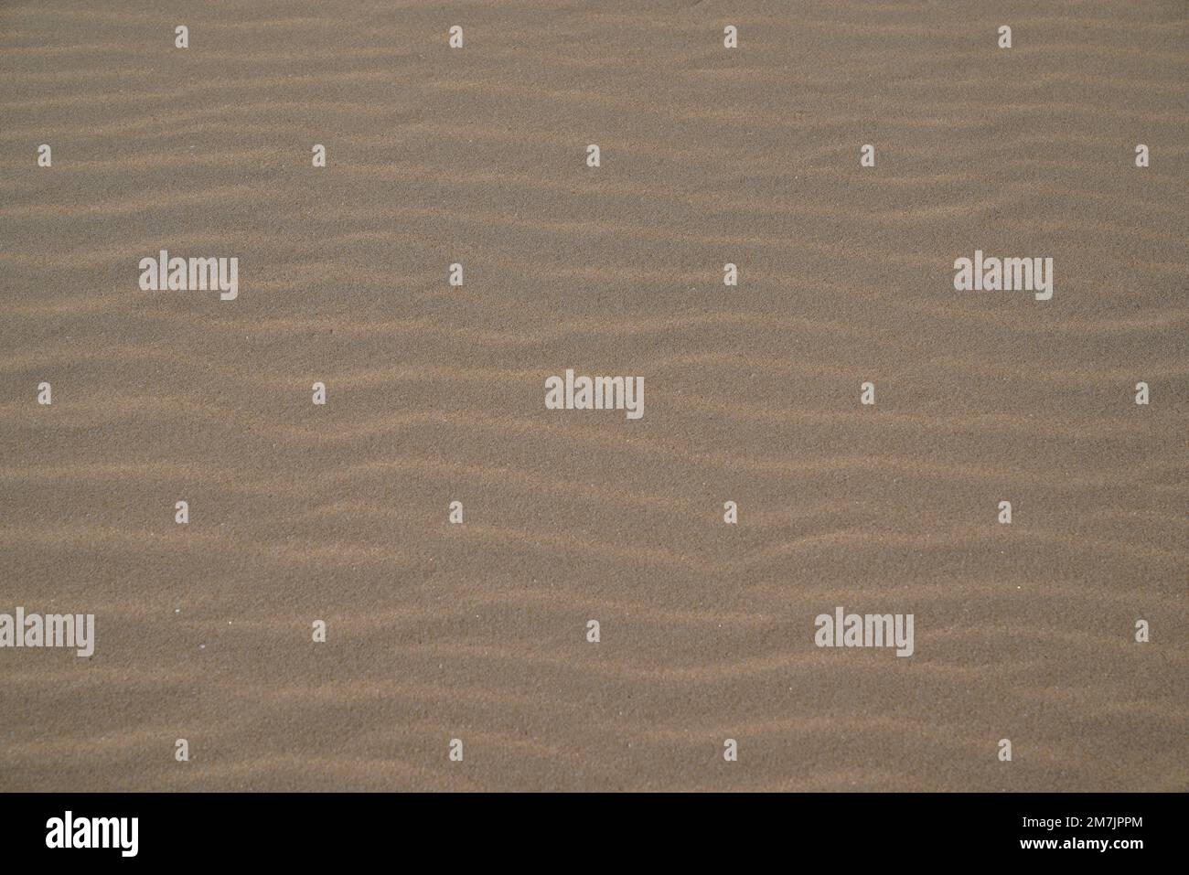 sand texture background with natural sandy line water wave in low tide ...