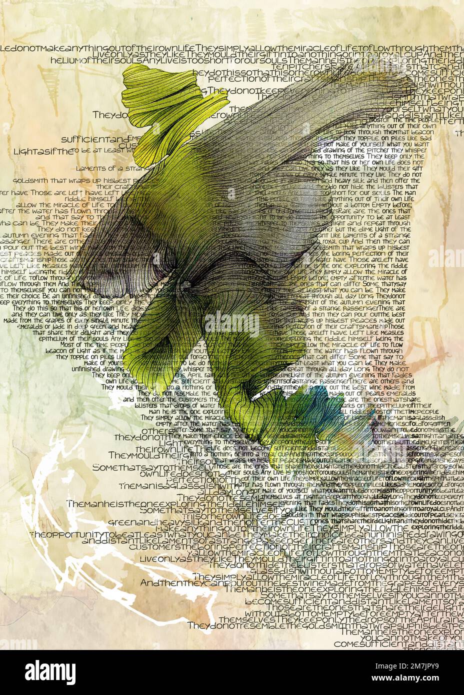 Digital mix of various works from my Line Art made with water color and ...