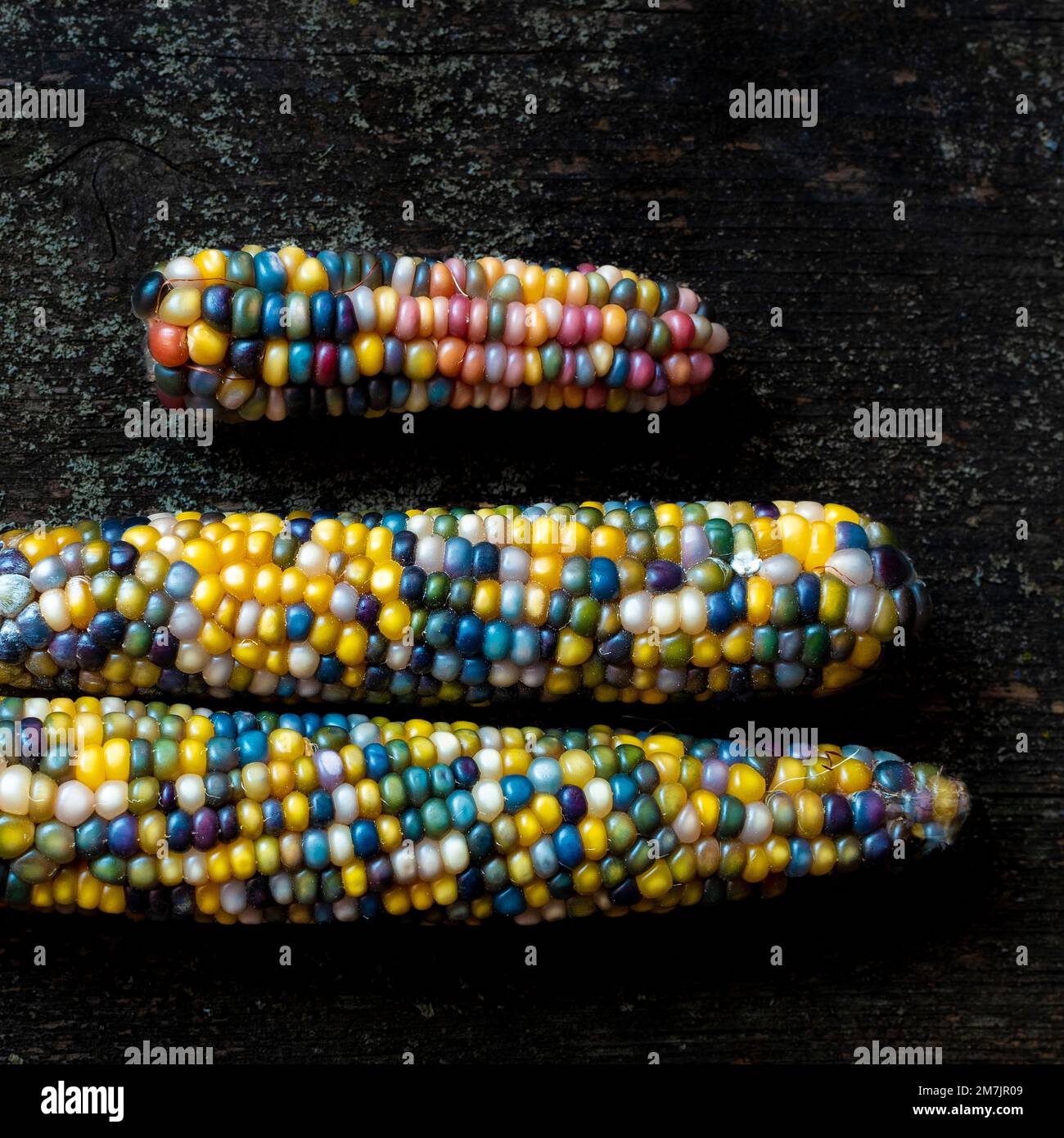 Colorful grains hi-res stock photography and images - Alamy