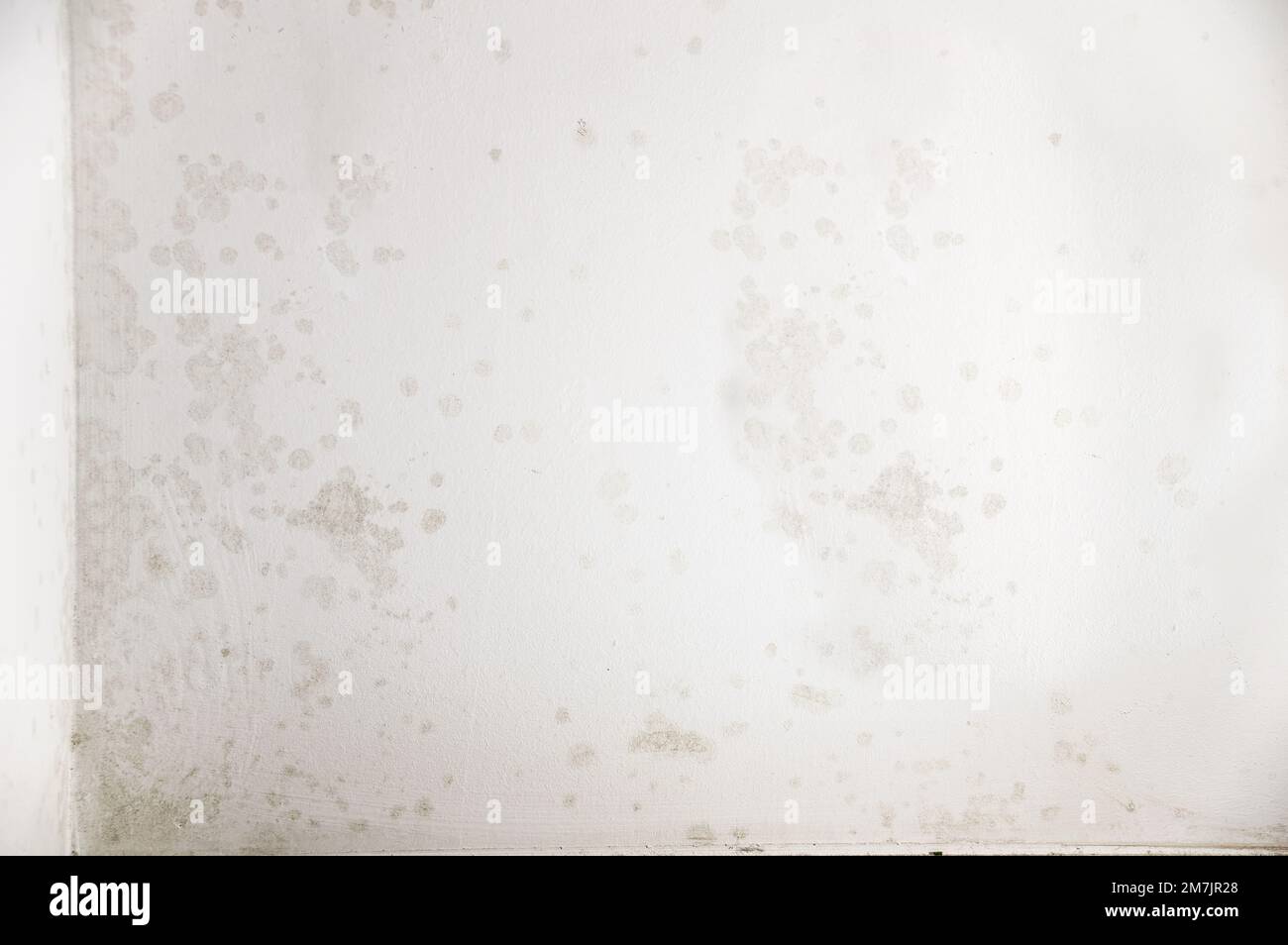 Damage caused by water damp on a house white wall Stock Photo - Alamy