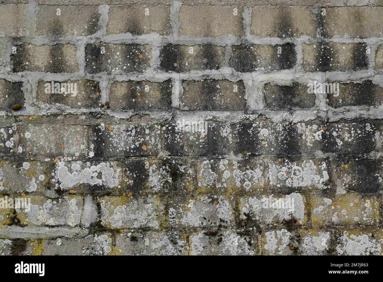 old gray cinder block wall cement background Stock Photo - Alamy