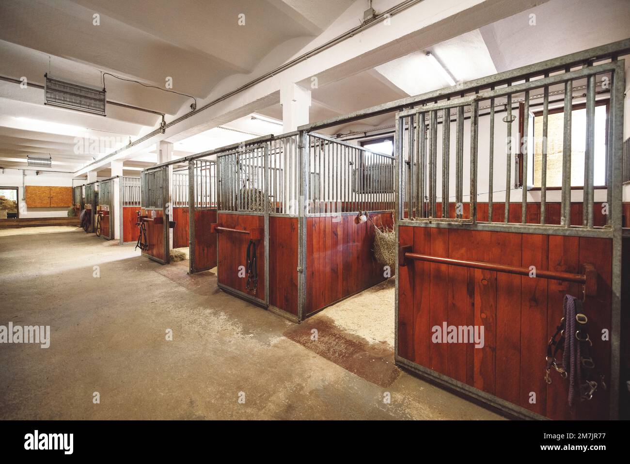 Empty horse stables at the ranch in Slovenia Stock Photo - Alamy