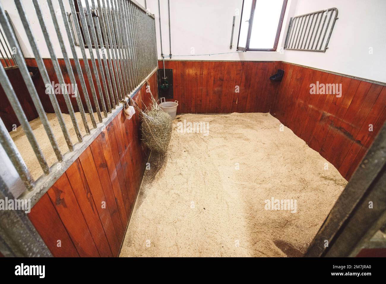 A look inside an empty and clean horse stable Stock Photo - Alamy