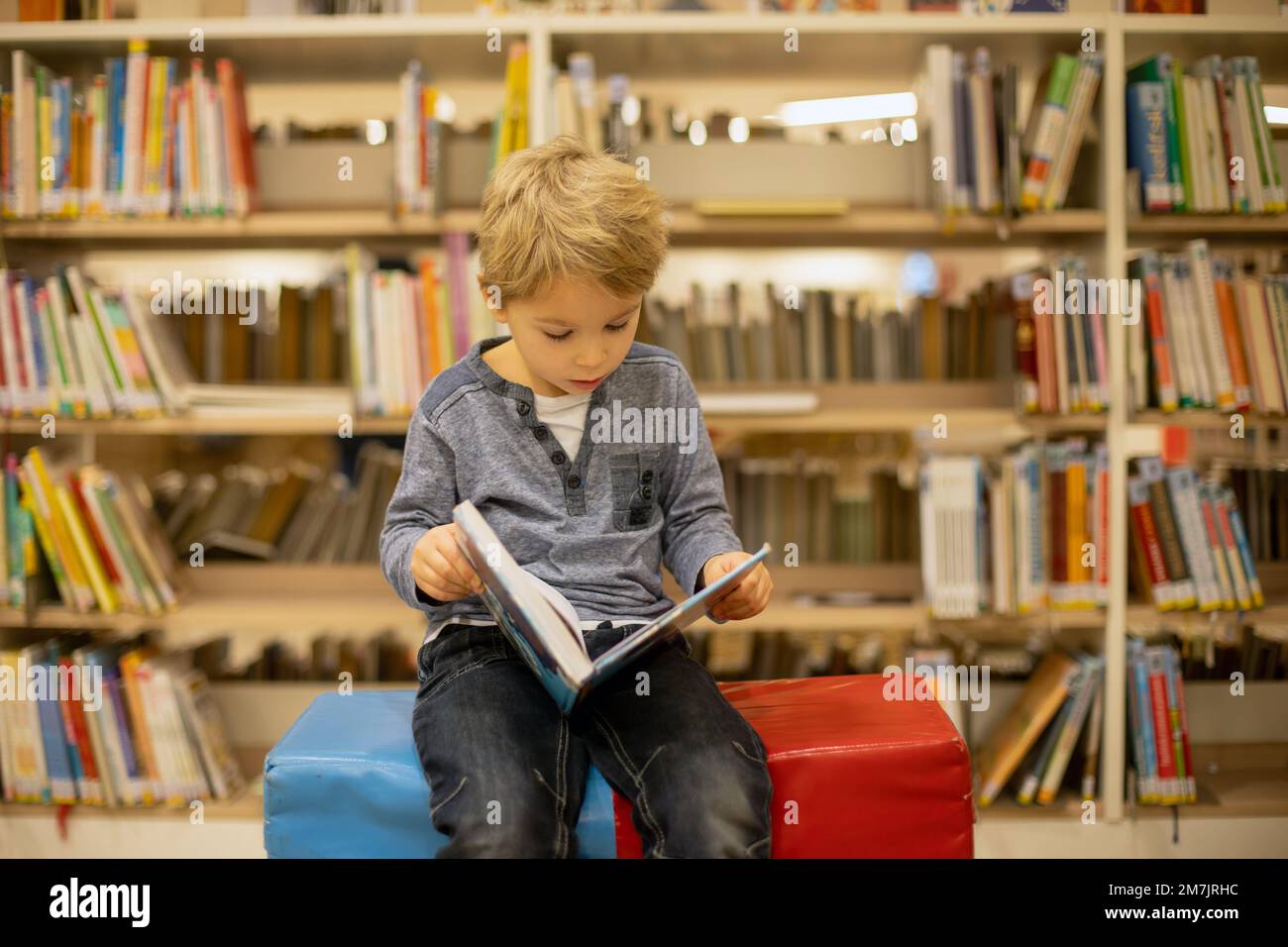Adorable little child, boy, sitting in library, reading book and ...