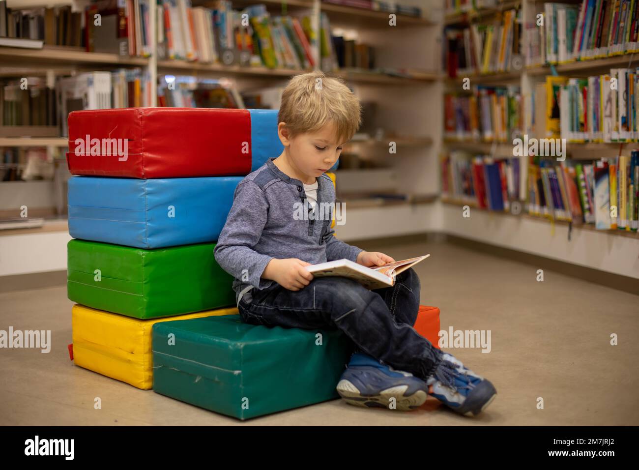 Adorable little child, boy, sitting in library, reading book and ...
