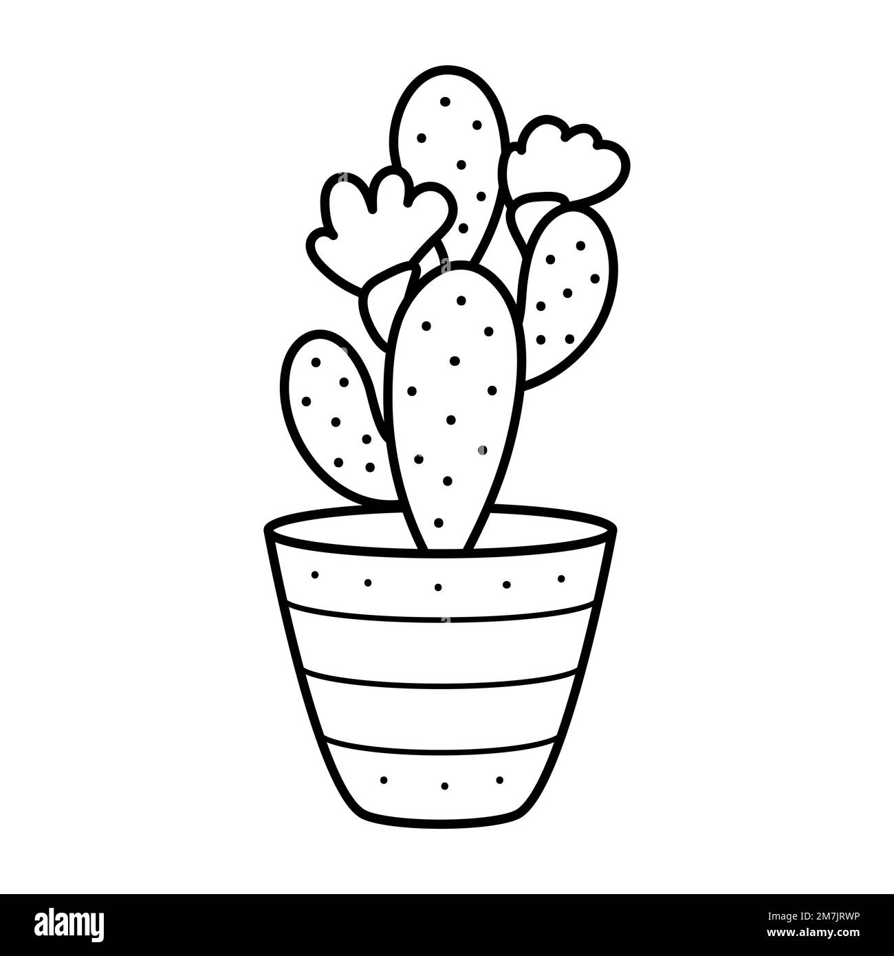 A blooming cute cactus in a simple pot. Gardening and home hobby. A ...