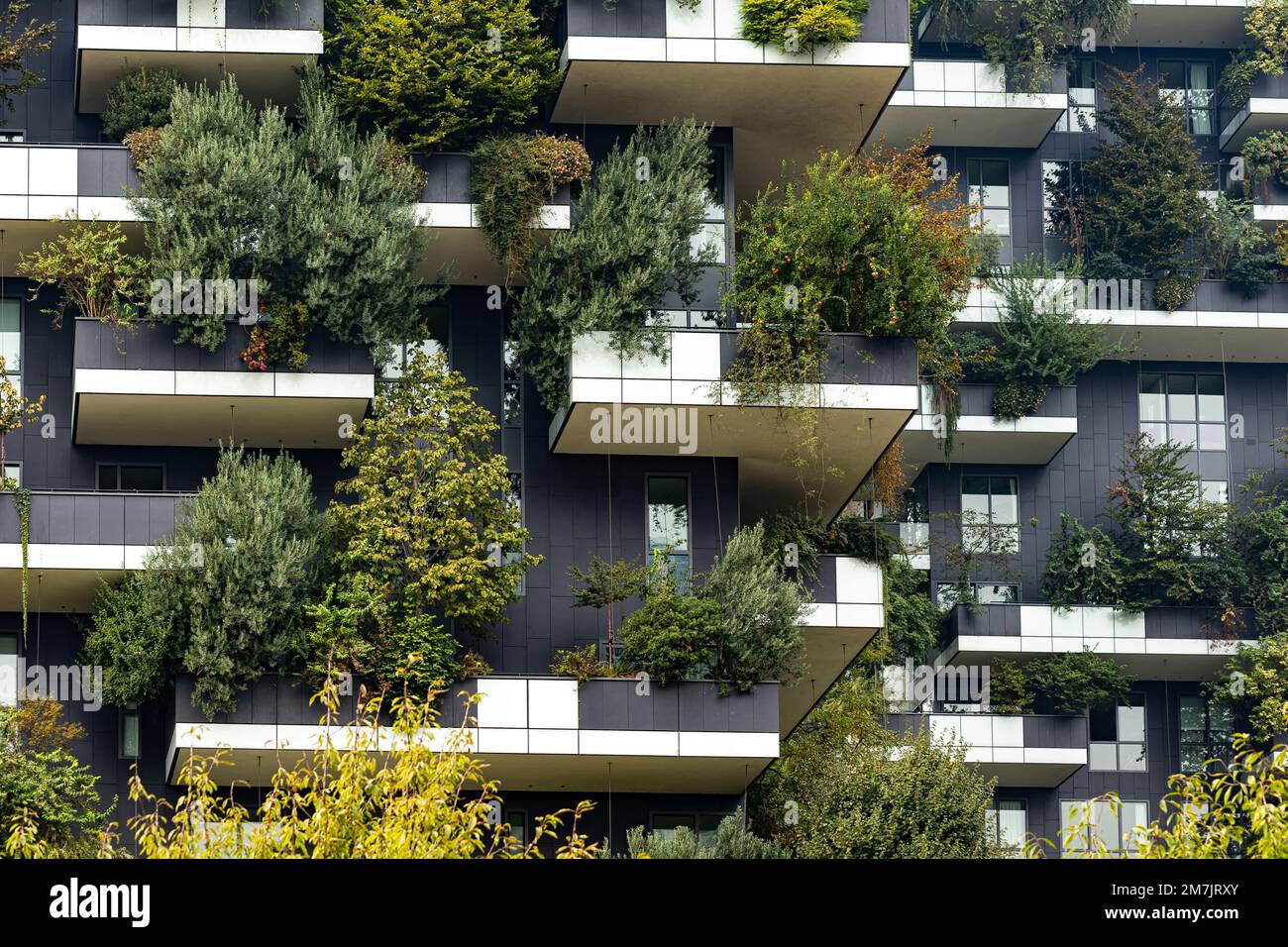 Bosco Verticale, Vertical Forest building, Milan, Italy, lush greenery ...