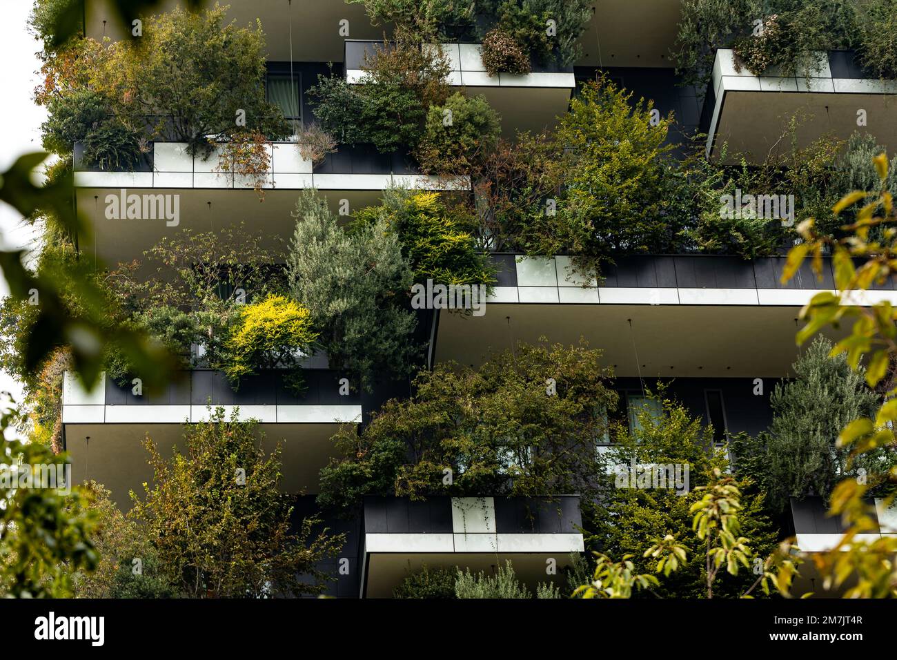 Bosco Verticale, Vertical Forest building, Milan, Italy, lush greenery ...