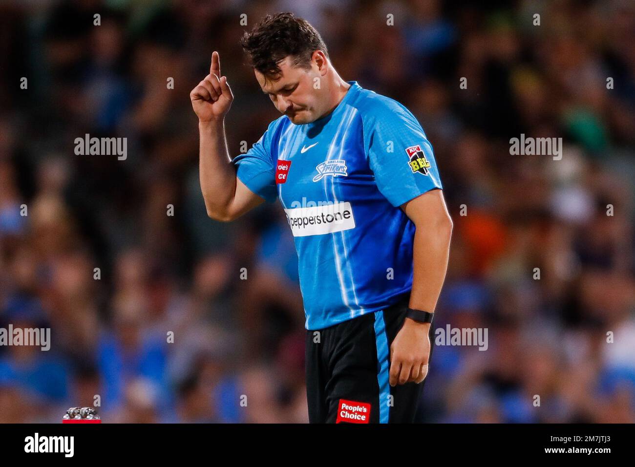 Ben Manenti of the Strikers celebrates a wicket during the Big Bash ...