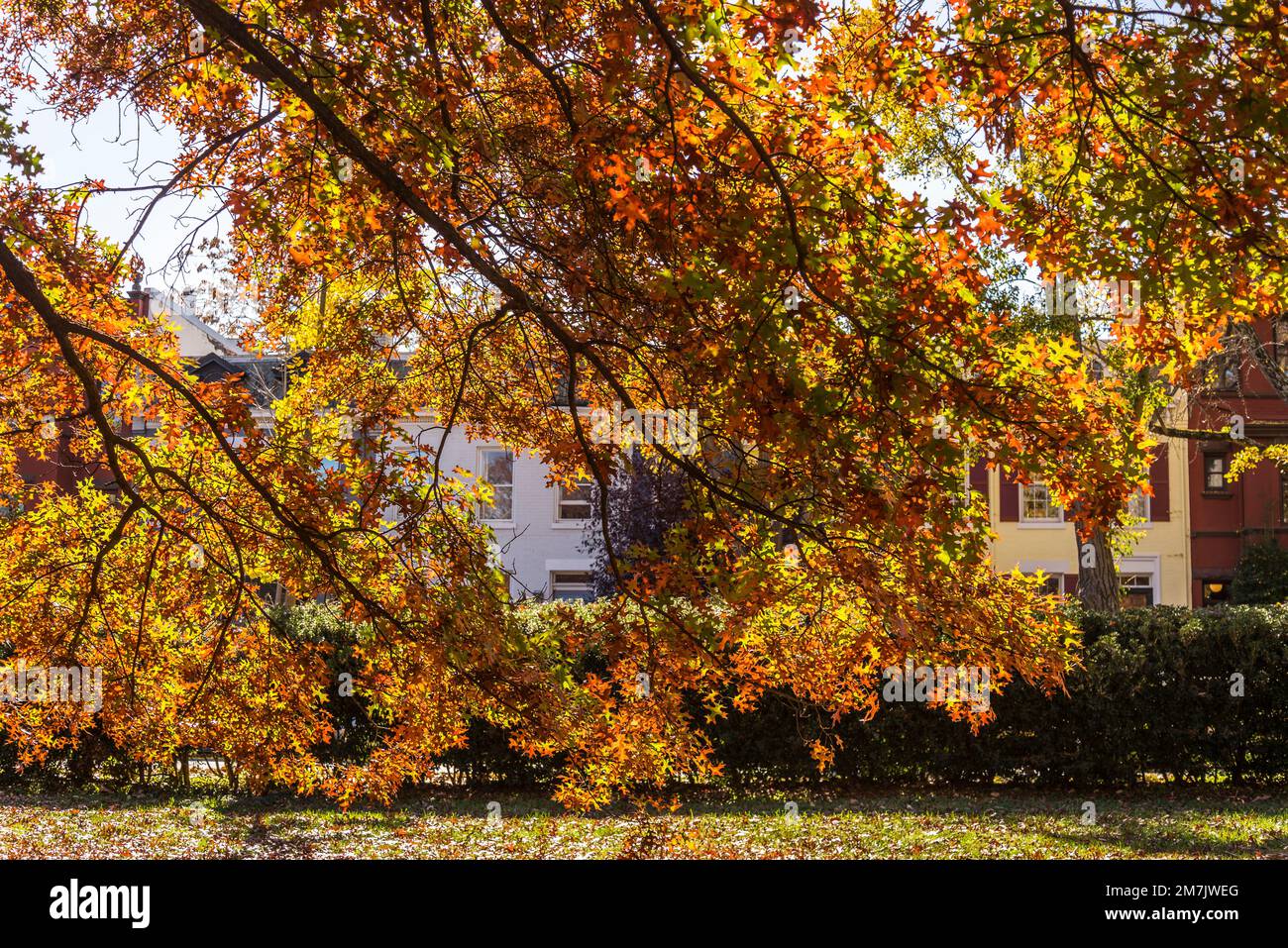 American october georgetown hi-res stock photography and images - Alamy