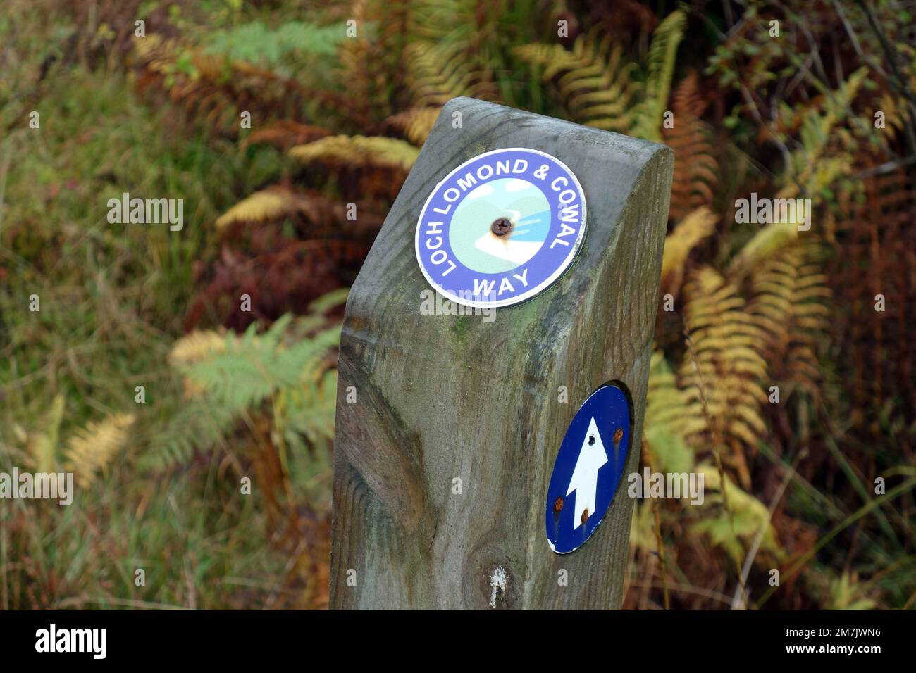 Wooden Marker Post 'Signpost' for the Loch Lomond & Cowel Way Between ...