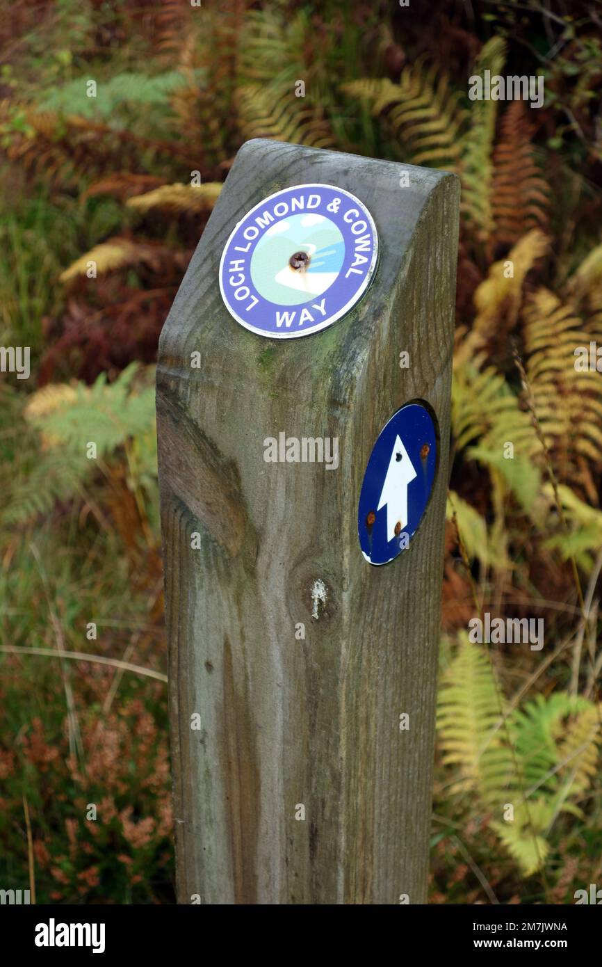 Wooden Marker Post 'Signpost' for the Loch Lomond & Cowel Way Between ...