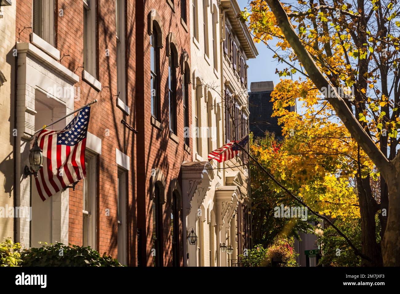 Residential street with American flags in Georgetown, a plush, historic ...