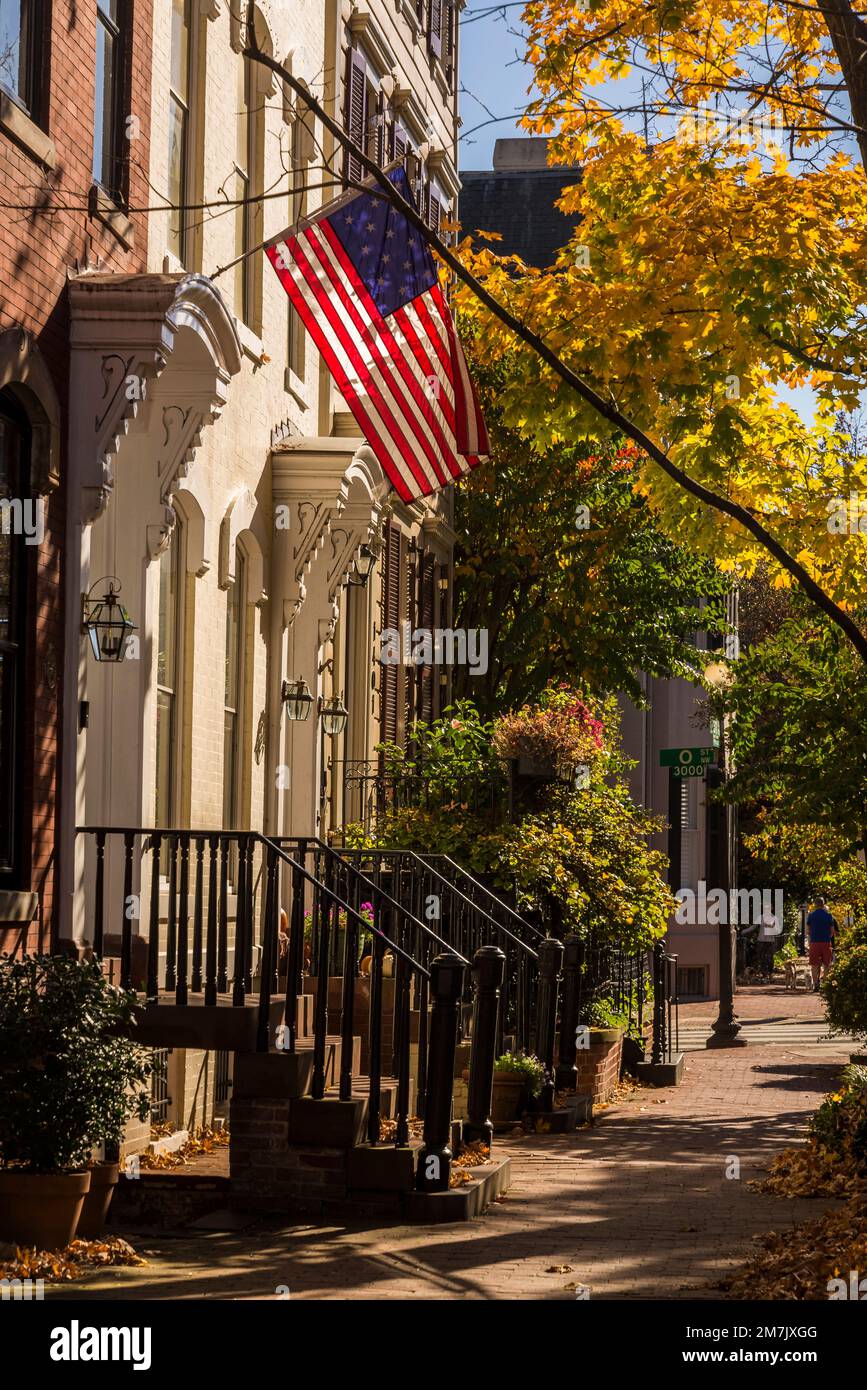 Residential street with American flags in Georgetown, a plush, historic ...