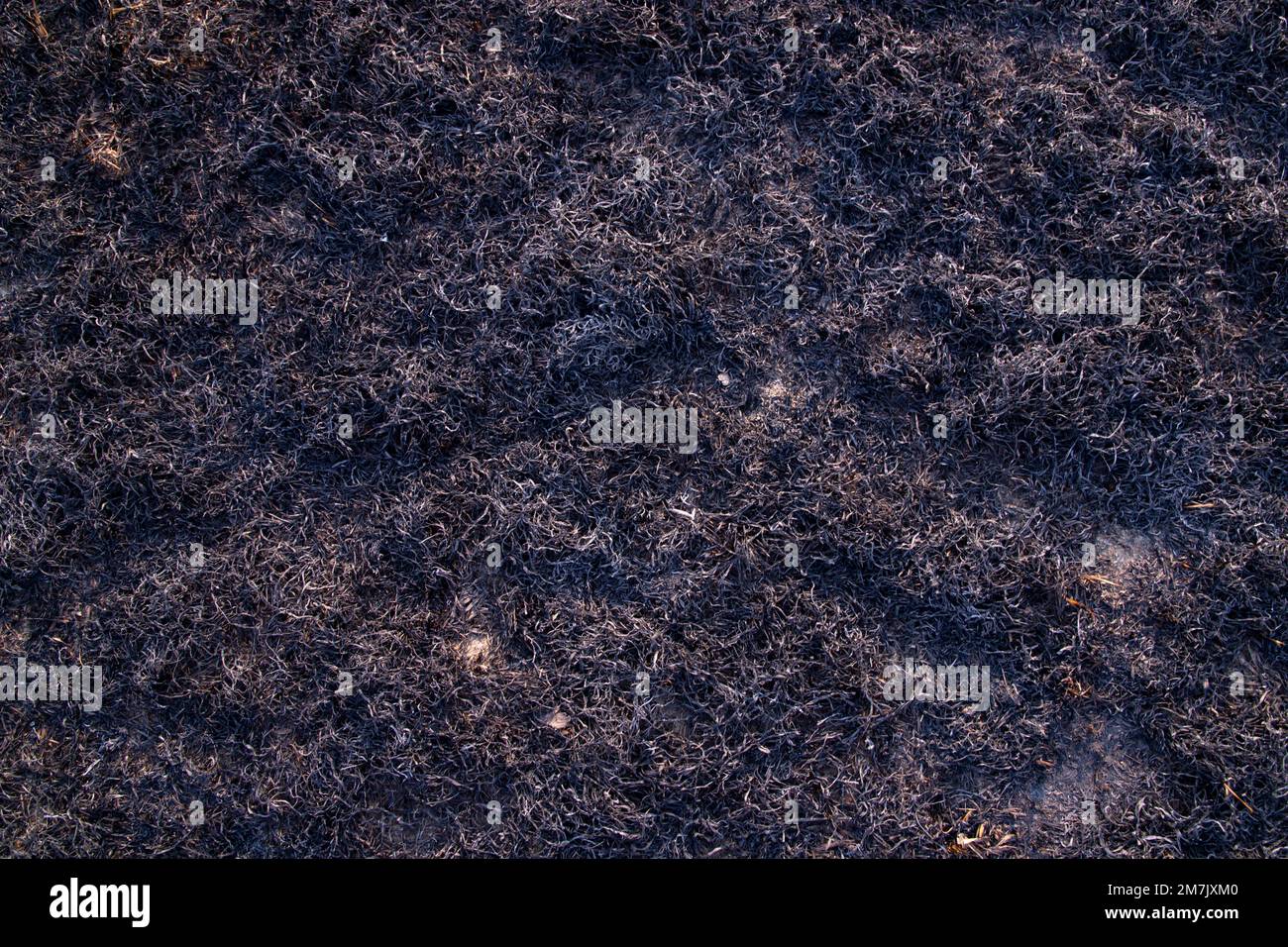 black Ash abstract background in fireplace natural Texture Stock Photo ...