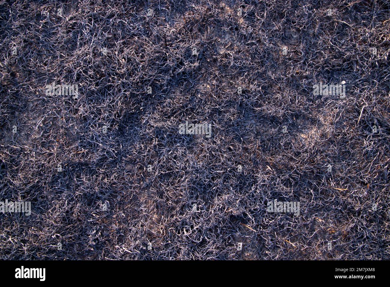black Ash abstract background in fireplace natural Texture Stock Photo ...
