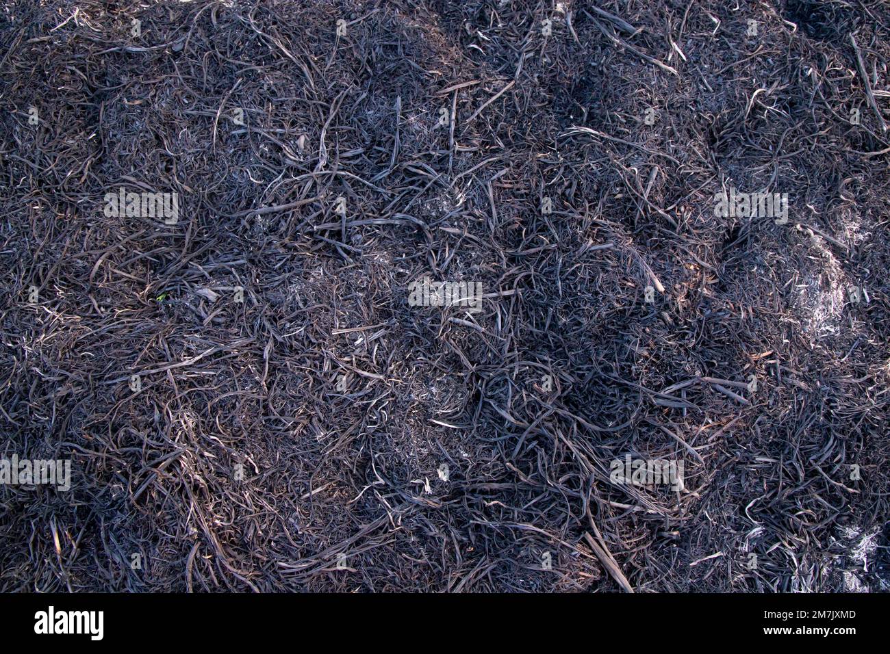 black Ash abstract background in fireplace natural Texture Stock Photo ...