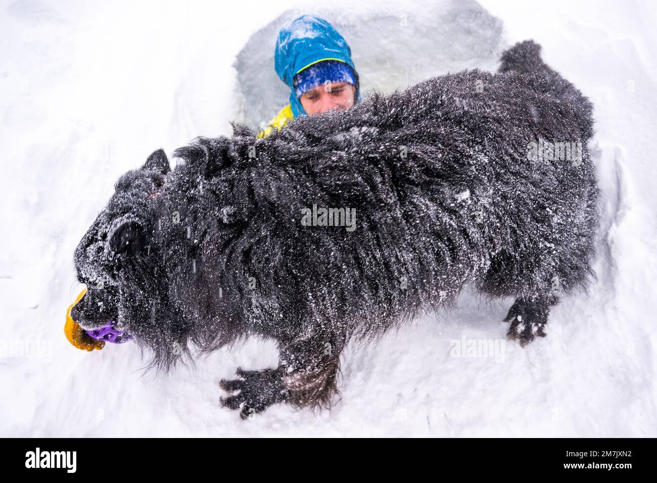 Pec Pod Snezkou, Czech Republic. 10th Jan, 2023. International ...