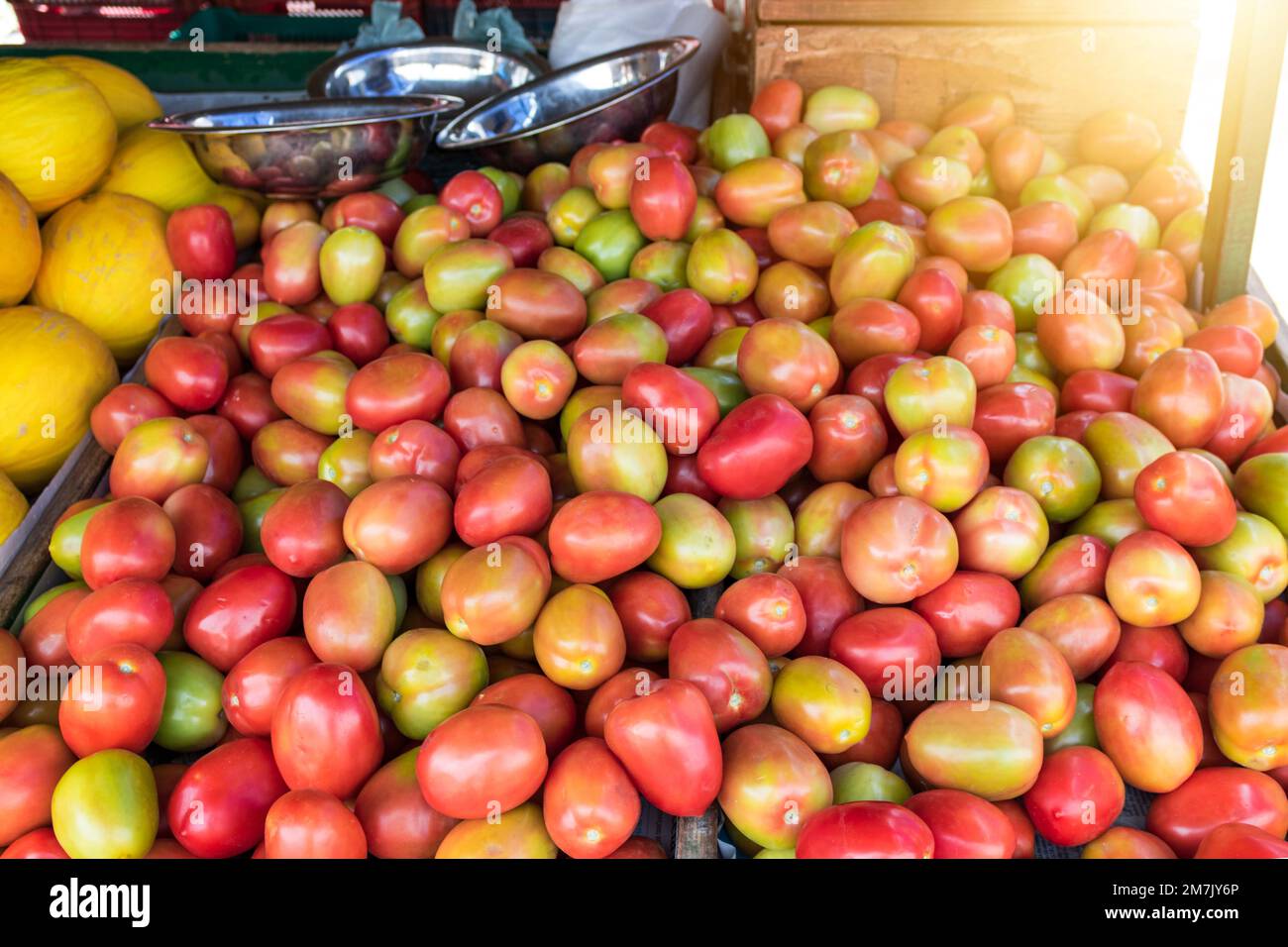 Free Fair Street Market Stall With tomato. Traditional Brazilian Free ...