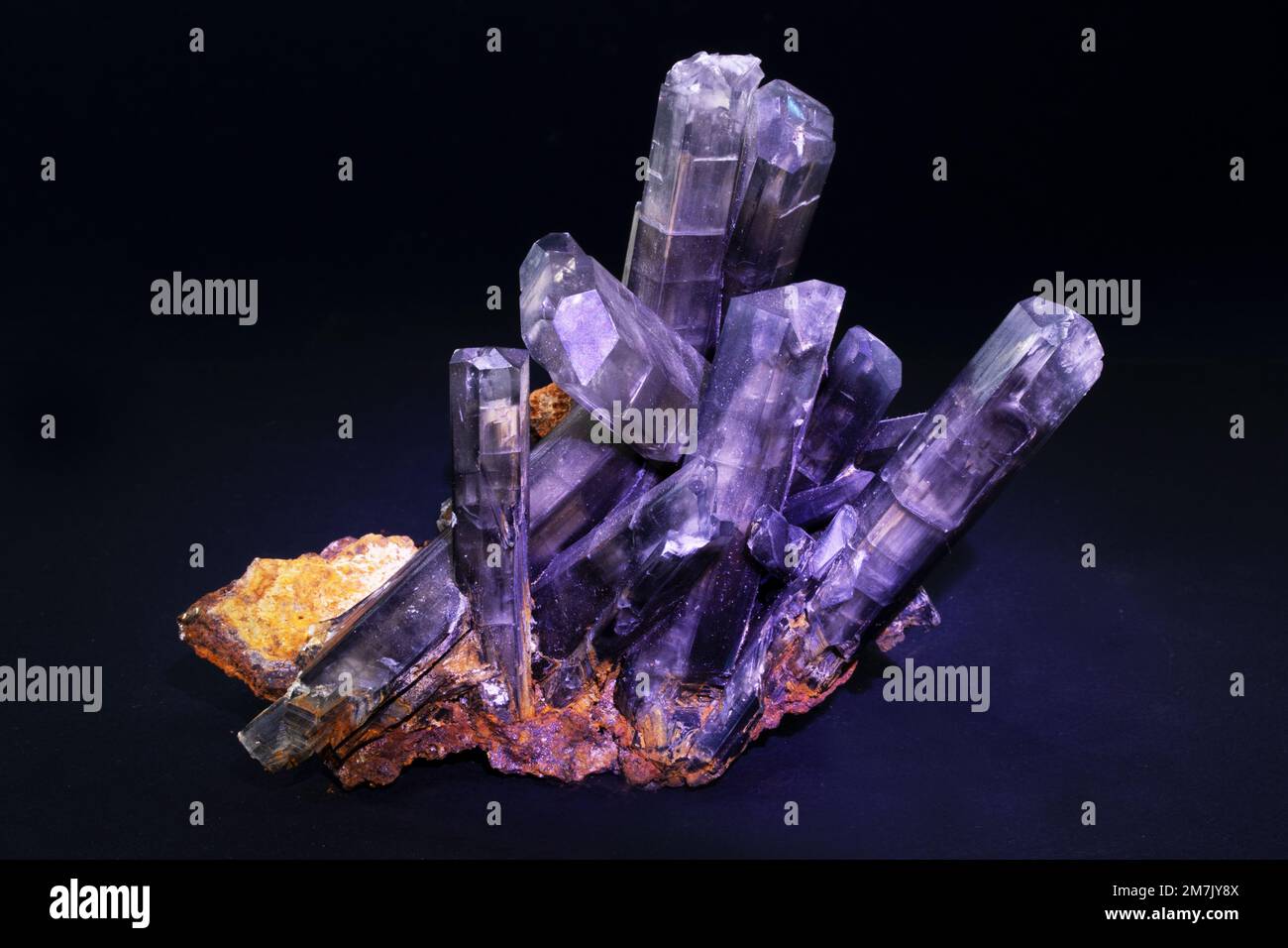 Rocks and Minerals, Gypsum crystal, laboratory sample Stock Photo - Alamy