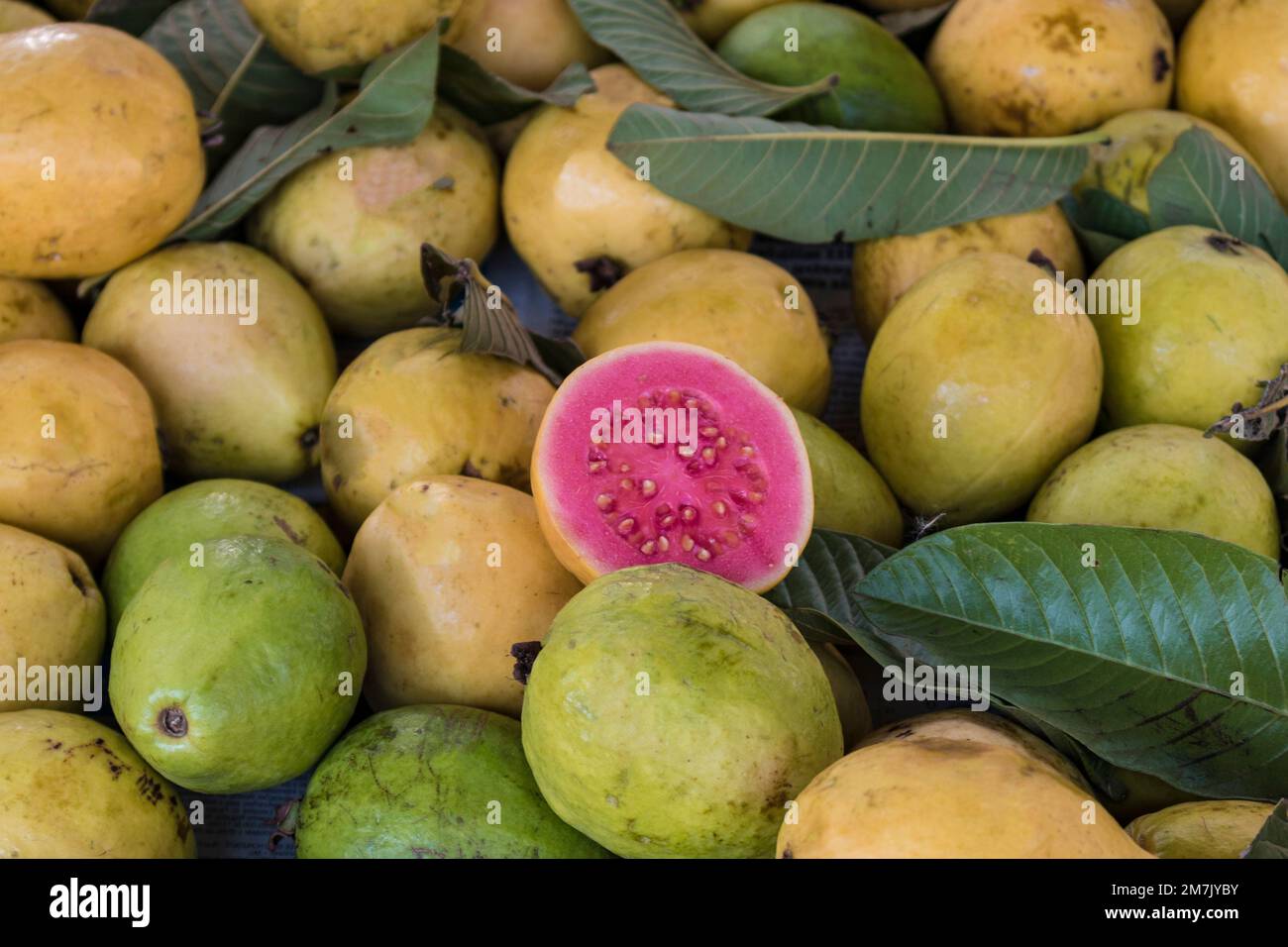 Free Fair Street Market Stall With Guava Fruit. Traditional Brazilian ...