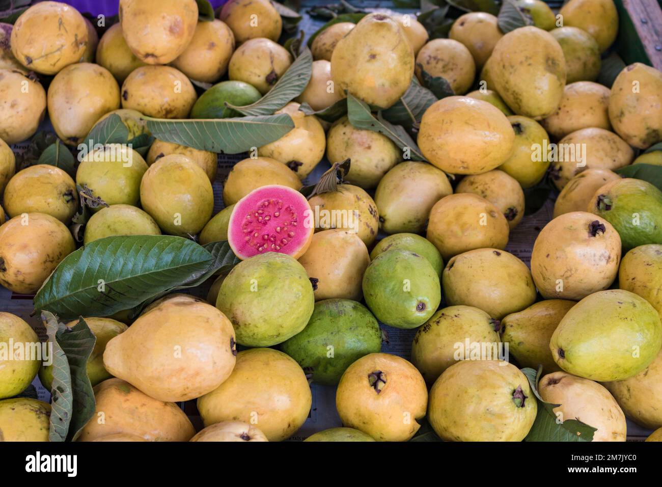 Free Fair Street Market Stall With Guava Fruit. Traditional Brazilian ...