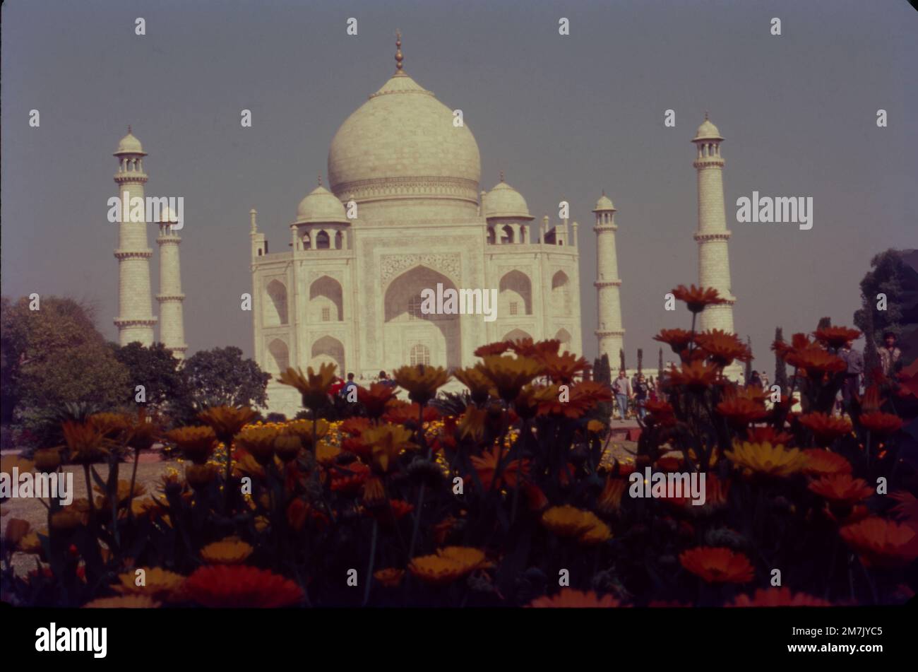 The Taj Mahal is an Islamic ivory-white marble mausoleum on the right ...