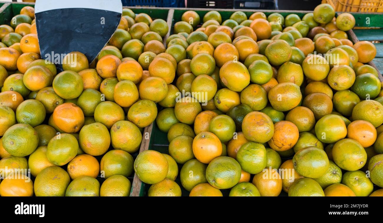Free Fair Street Market Stall With Orange. Traditional Brazilian Free ...