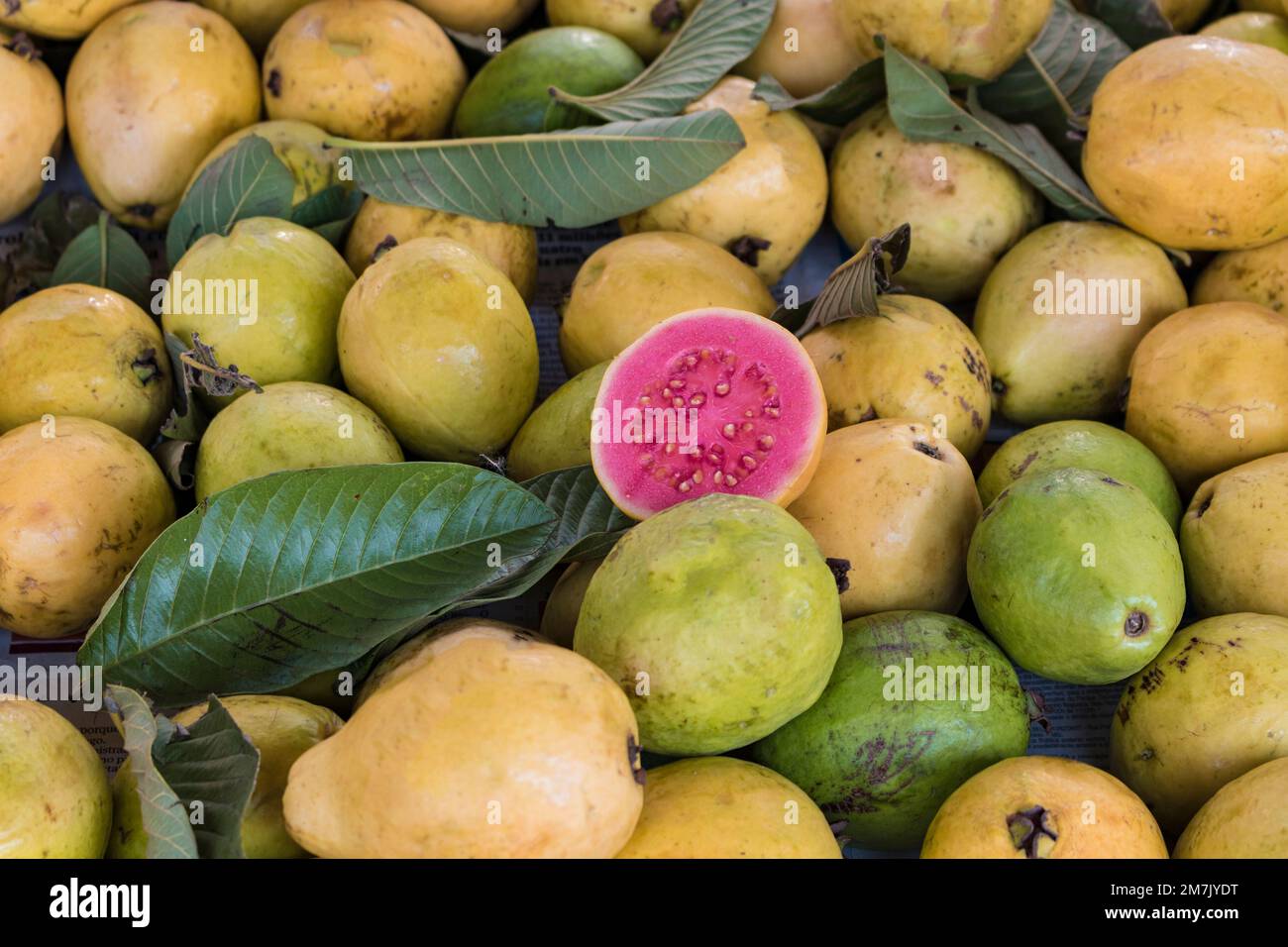 Free Fair Street Market Stall With Guava Fruit. Traditional Brazilian ...