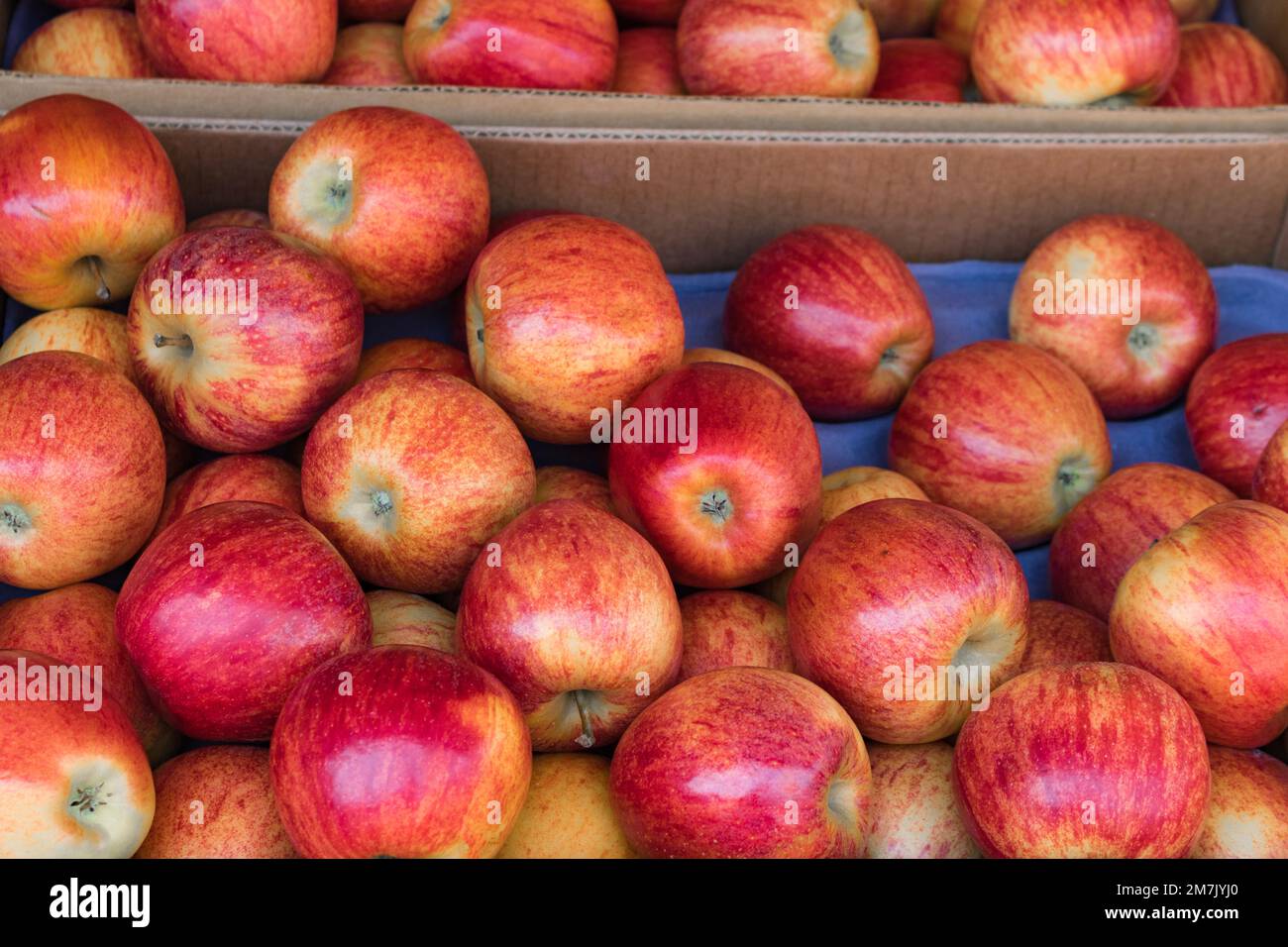 Free Fair Street Market Stall With Apple. Traditional Brazilian Free ...