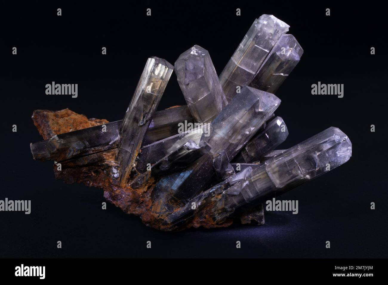 Rocks and Minerals, Gypsum crystal, laboratory sample Stock Photo - Alamy