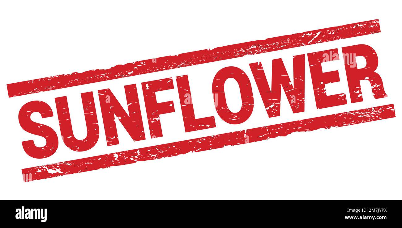SUNFLOWER text written on red rectangle stamp sign Stock Photo - Alamy