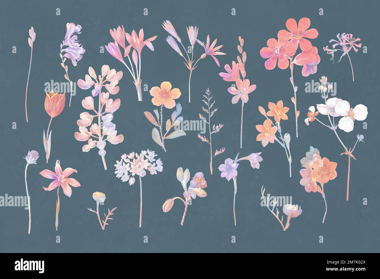 Colorful floral design vector set Stock Vector Image & Art - Alamy