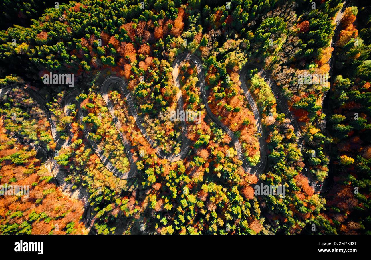 An aerial view of a curly road between fall trees in a forest Stock ...
