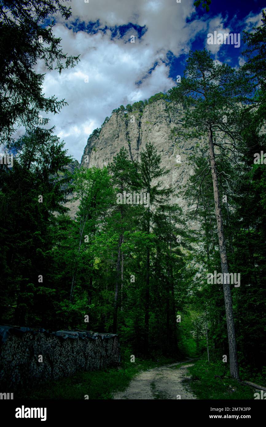 A wonderful landscape of rocks and trees for a special excursion Stock ...