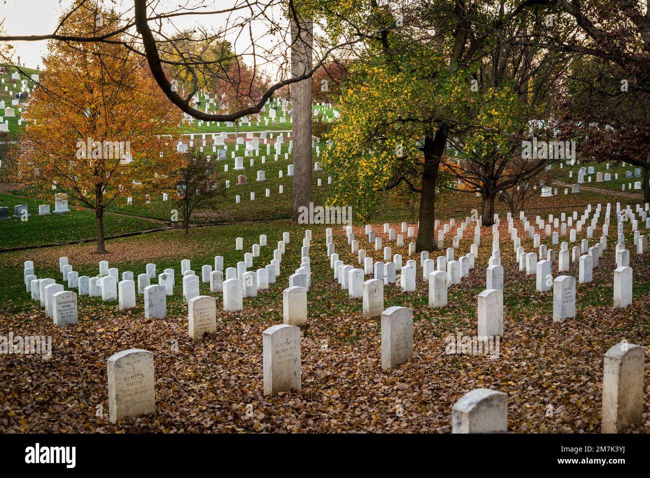 United states army cemetery hi-res stock photography and images - Alamy