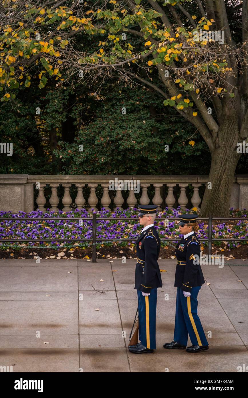 Changing of the Guard, the military guard at the Tomb of the Unknown ...
