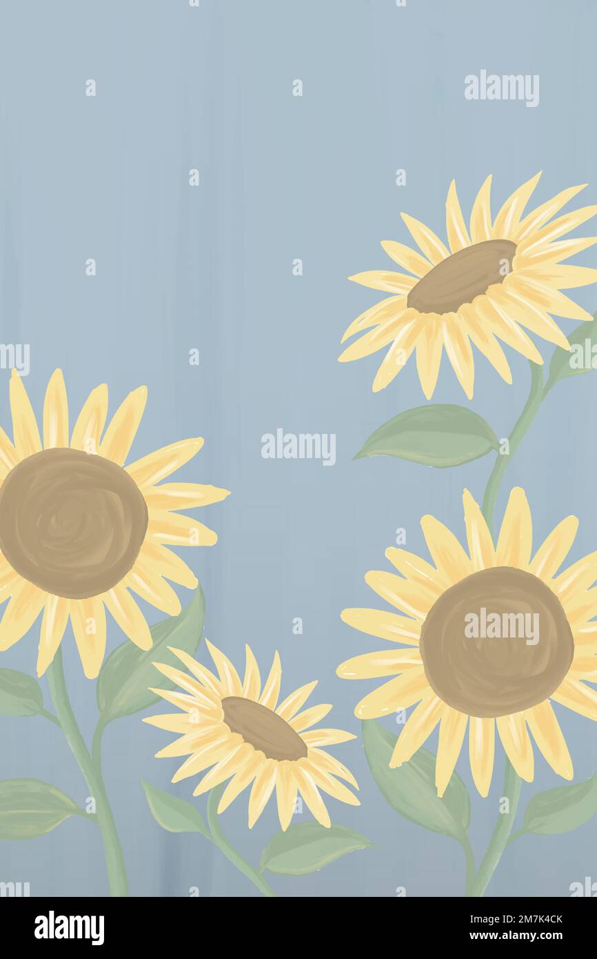 Hand drawn sunflower mockup vector Stock Vector Image & Art - Alamy