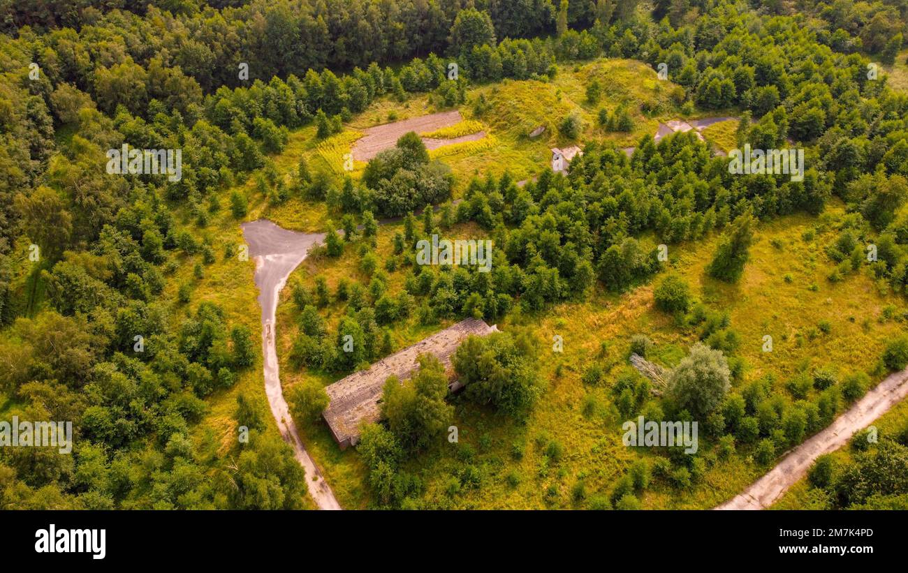 Forest drone shot hi-res stock photography and images - Alamy