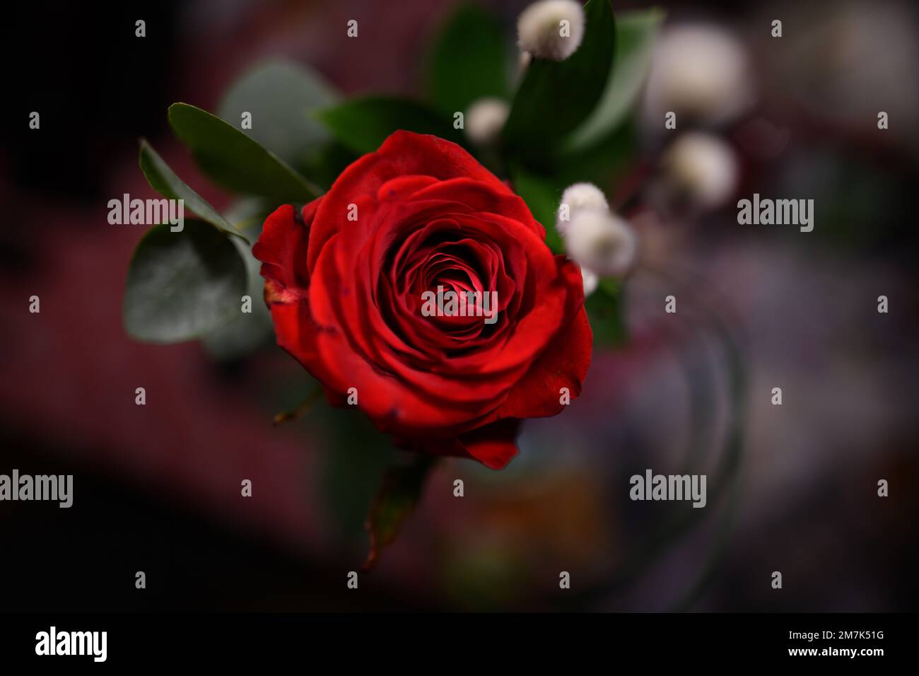 Digital Art pics Stock Photo - Alamy