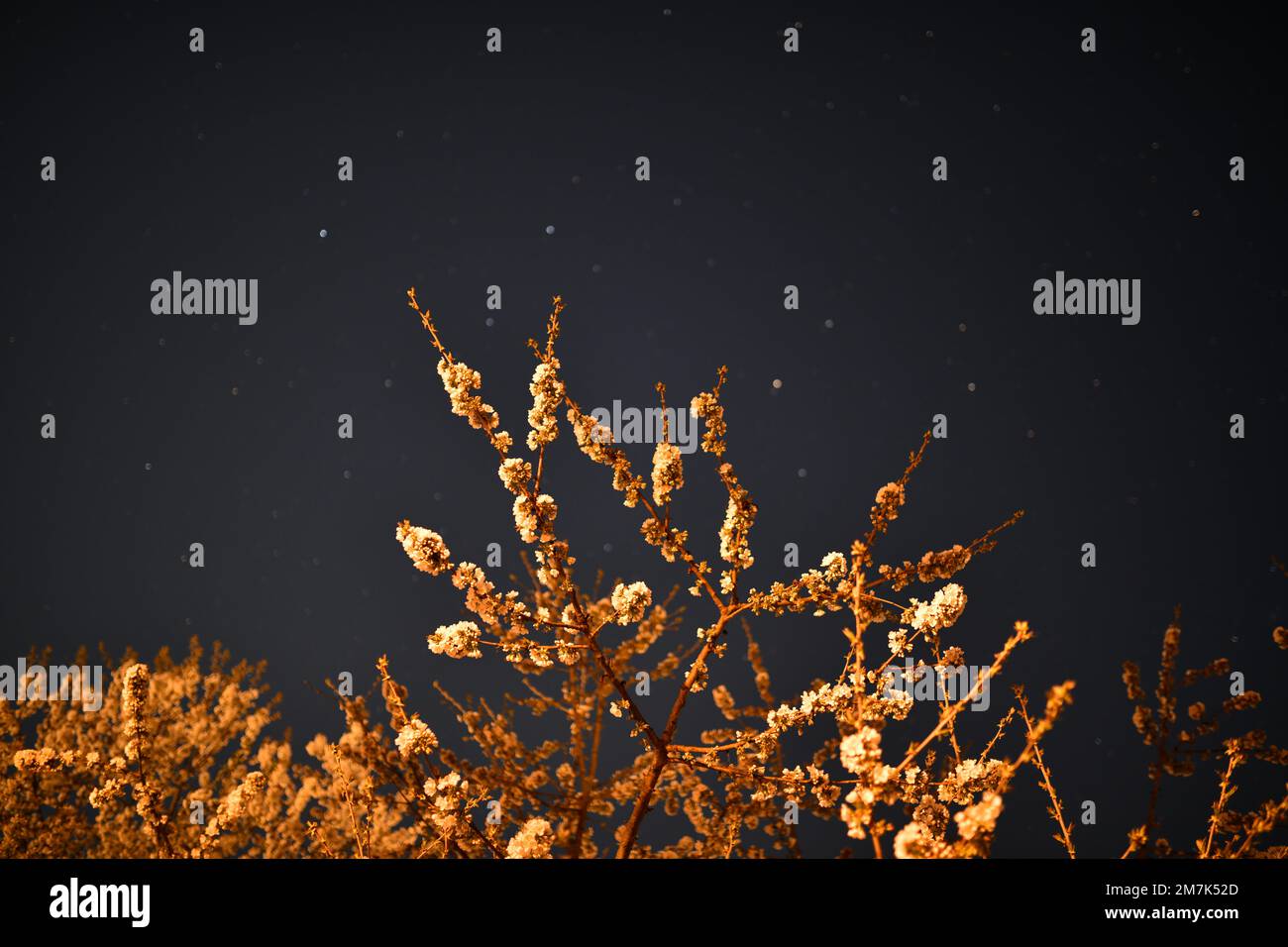 Digital Art pics Stock Photo - Alamy
