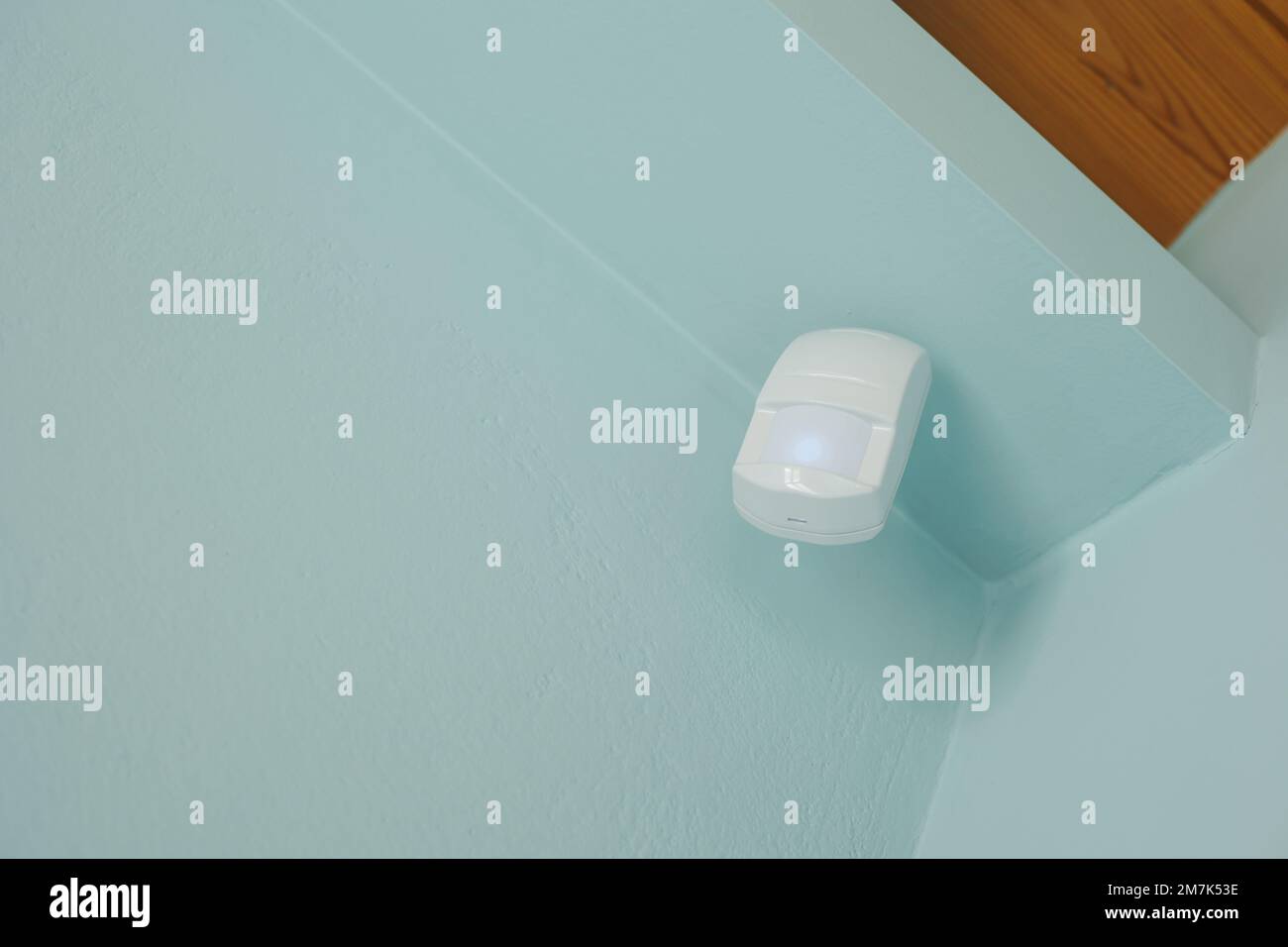 Motion sensor or detector for security system mounted on blue wall in ...