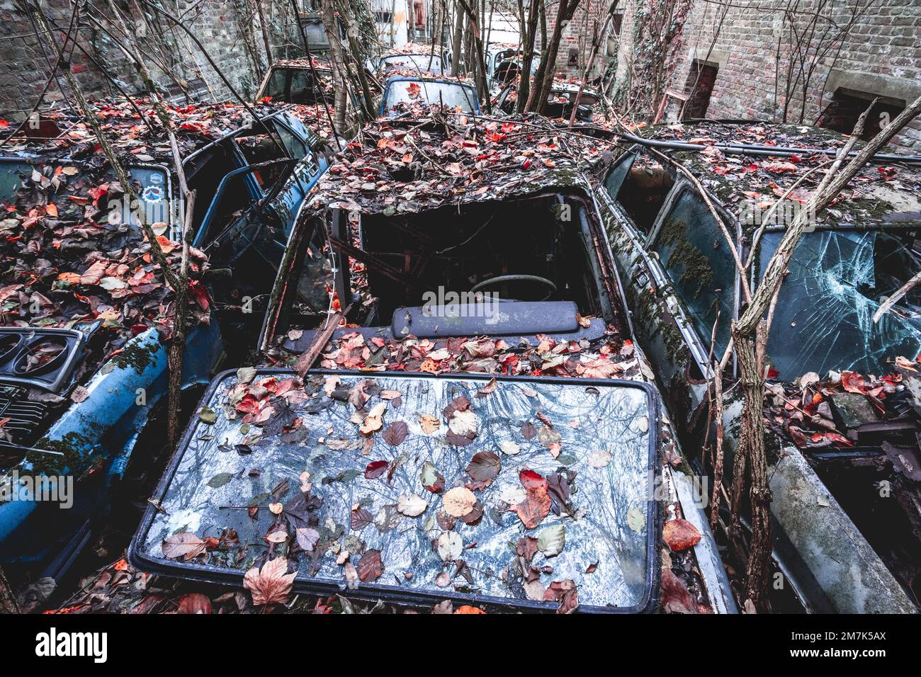 Old abandoned cars dumped in the Forest somewhere in Belgium Stock ...