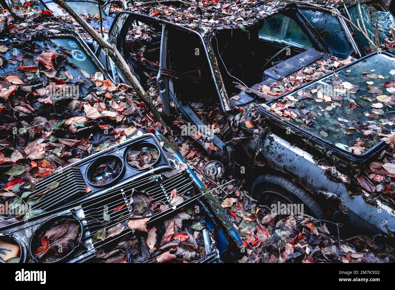 Old abandoned cars dumped in the Forest somewhere in Belgium Stock ...