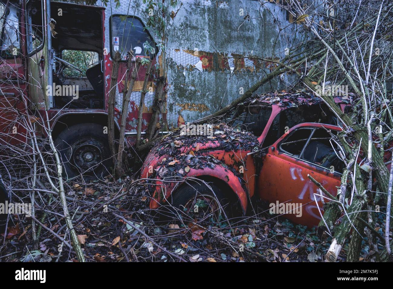 Old abandoned cars dumped in the Forest somewhere in Belgium Stock ...